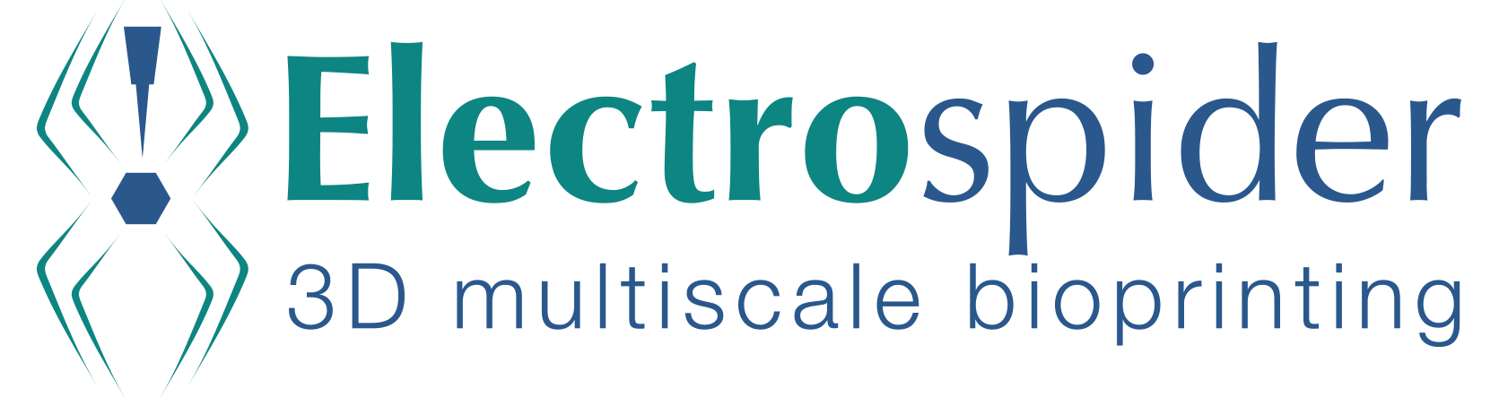 Electrospider - Bio3DPrinting